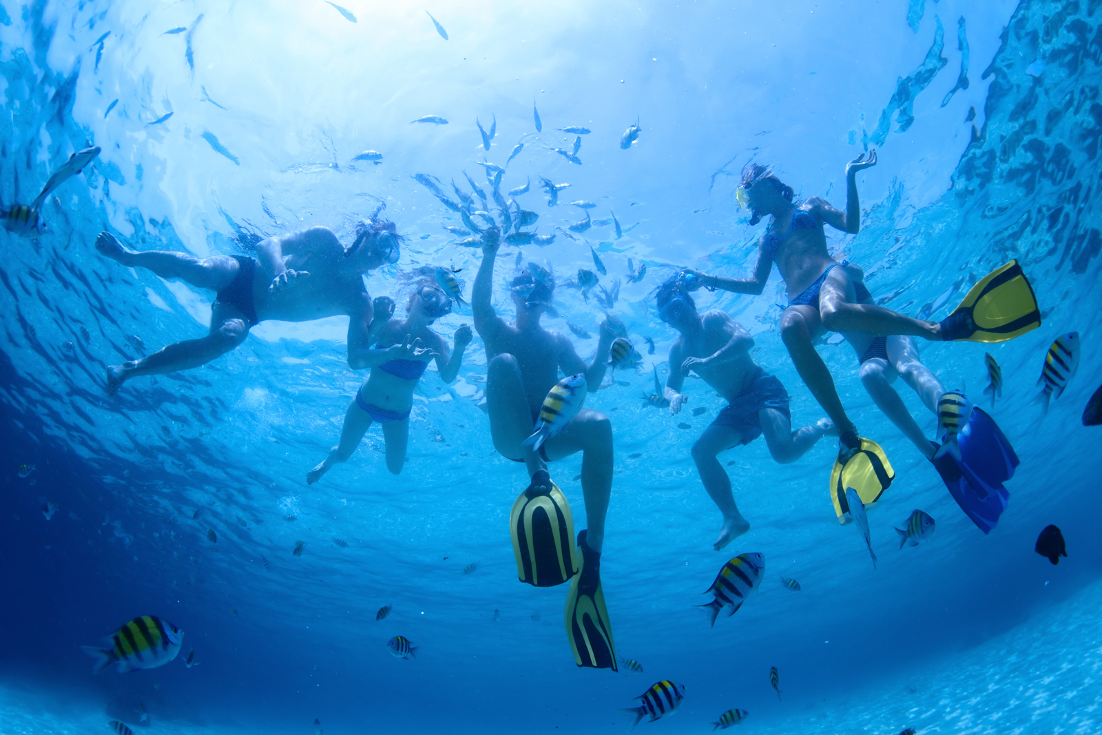 Marine Conservation & Diving in Madagascar from $255 | Go Overseas