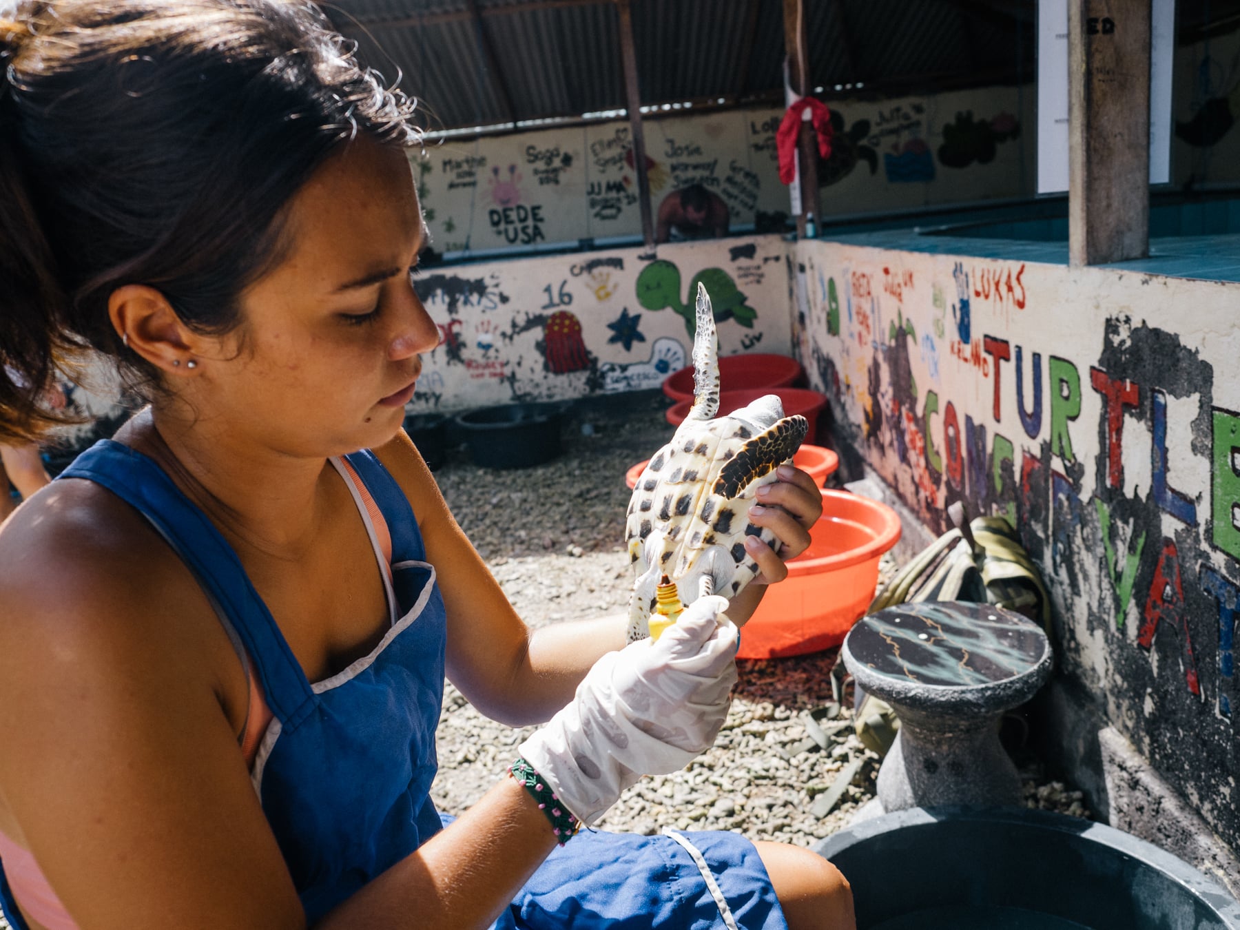 Sea Turtle & Marine Conservation Volunteer Programs with IVHQ | Go Overseas