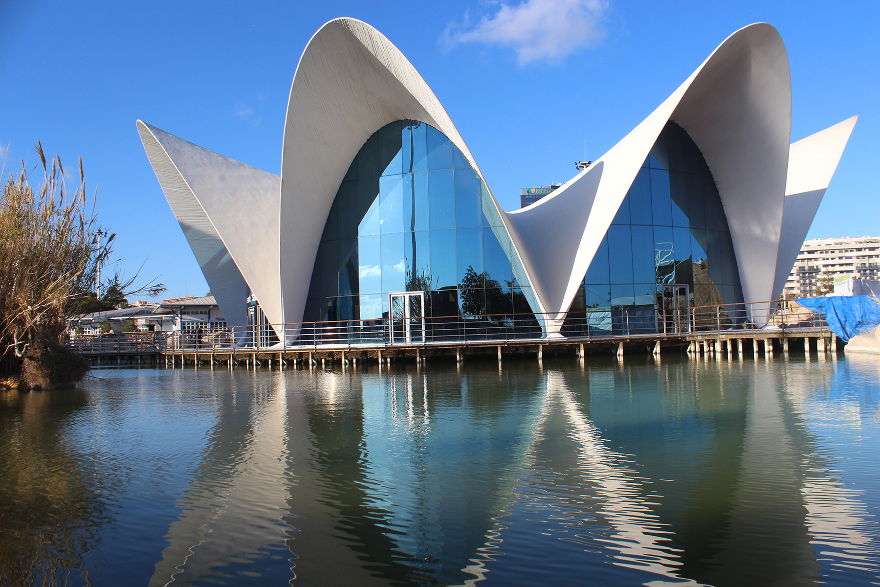 CEA CAPA Internships in Barcelona, Spain | Go Overseas