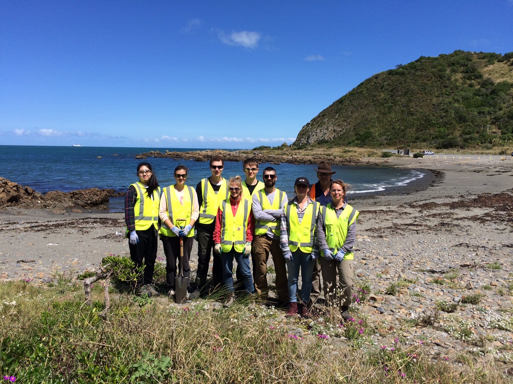 Conservation Volunteers Needed in New Zealand | Go Overseas