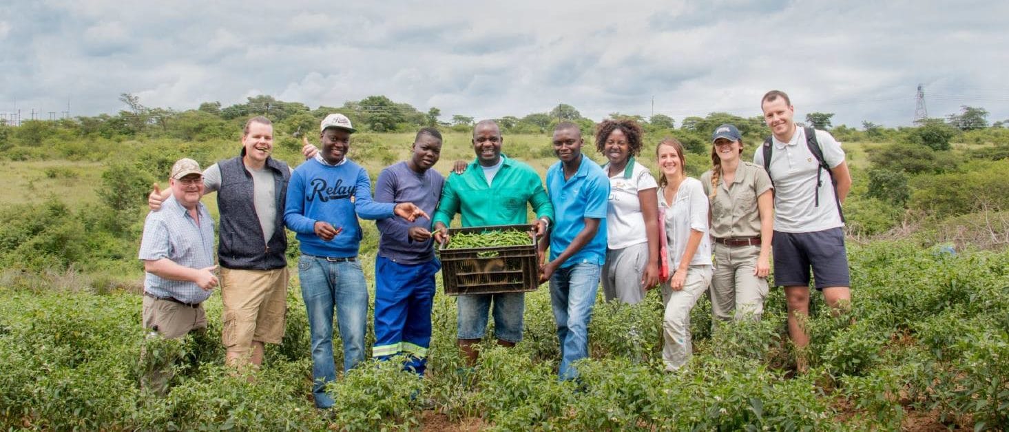 Internships in Africa with African Impact | Go Overseas