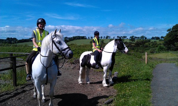 Equine Summer Study Abroad Programs in Scotland | Go Overseas