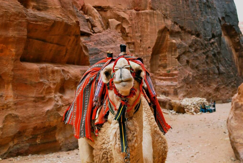 Jordan: Arabic Language & The Middle East | Go Overseas