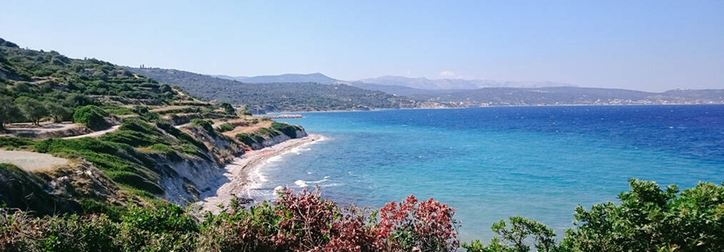 Greece Volunteer Programs | Most Affordable & Trusted | Go Overseas