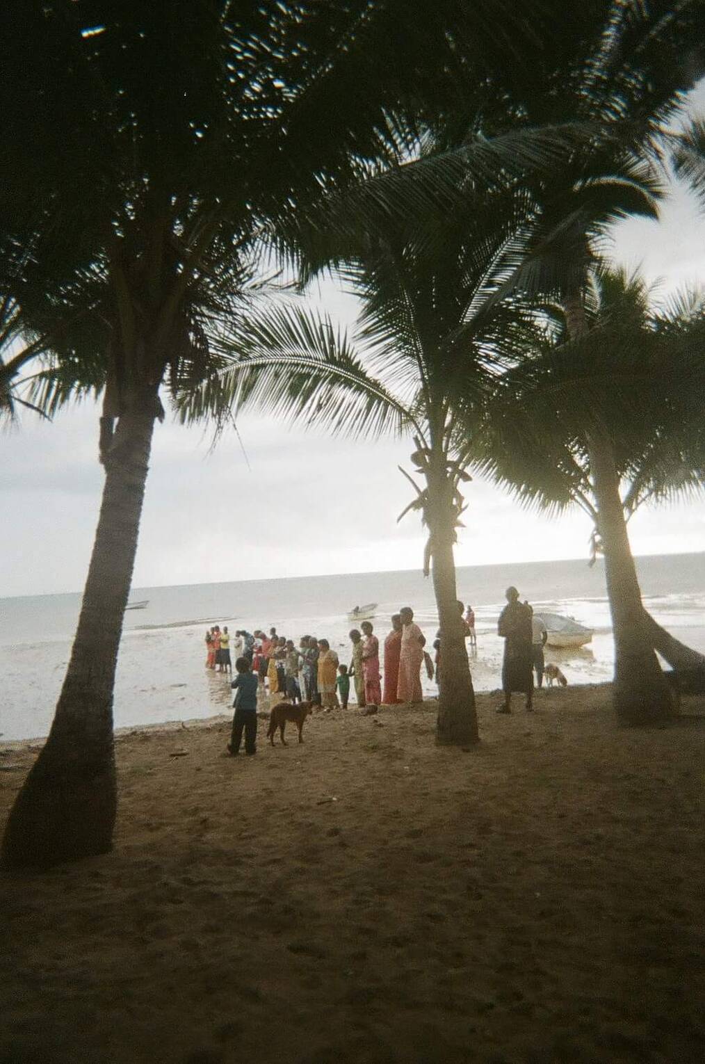 Volunteering Projects on the Fiji Islands with Think Pacific | Go Overseas