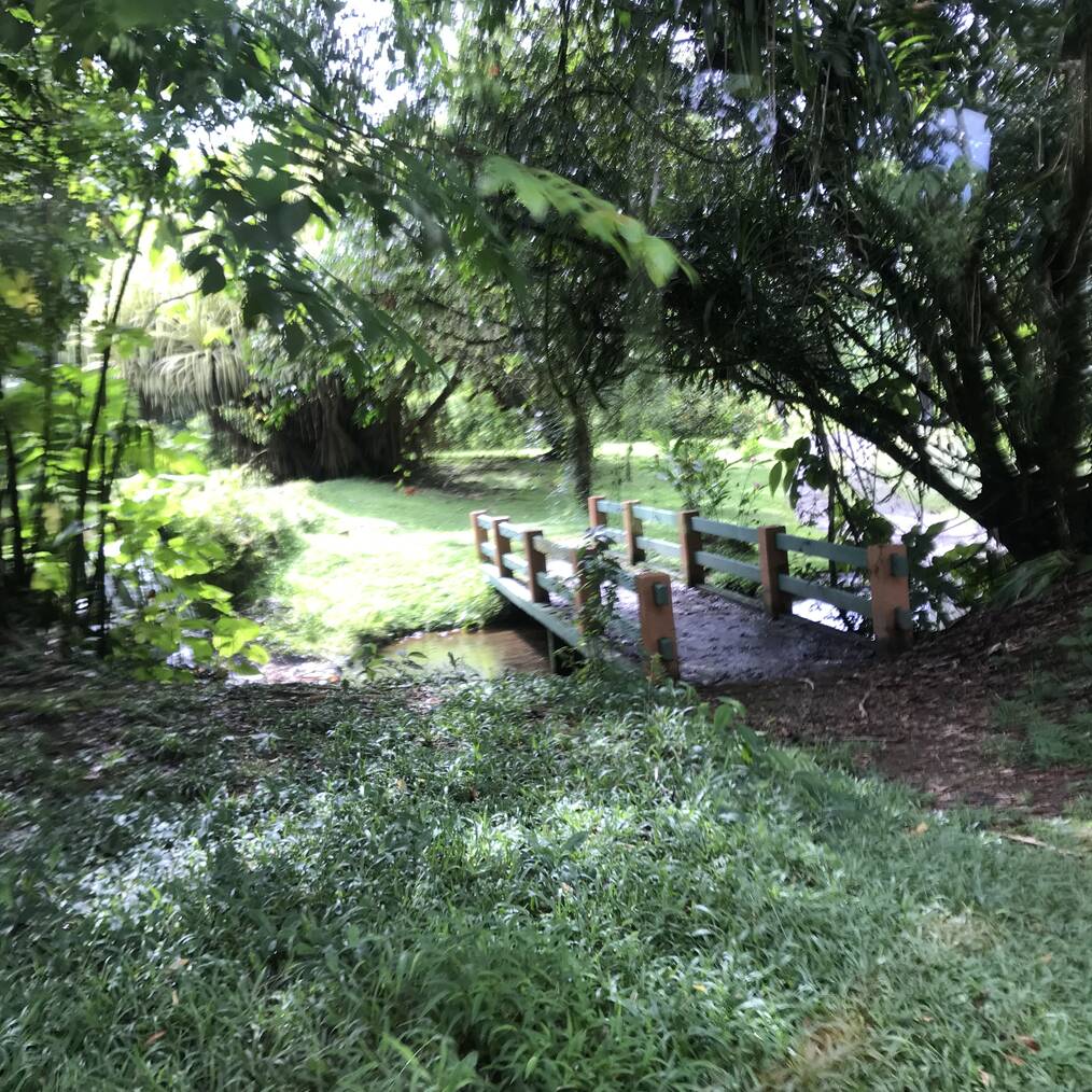 Summer High School Programs in Costa Rica with Rustic Pathways | Go ...