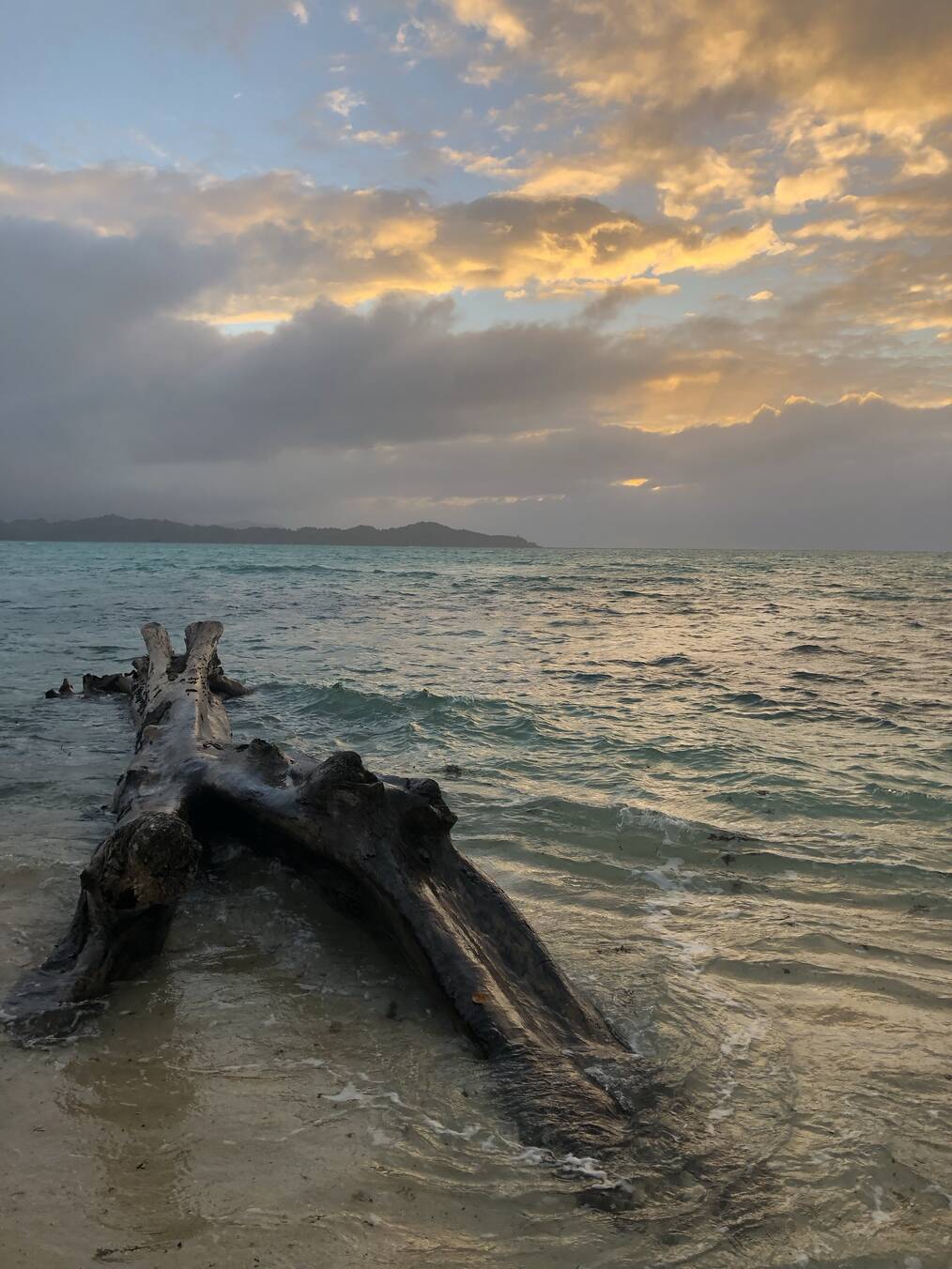 Summer High School Programs in Fiji with Rustic Pathways | Go Overseas