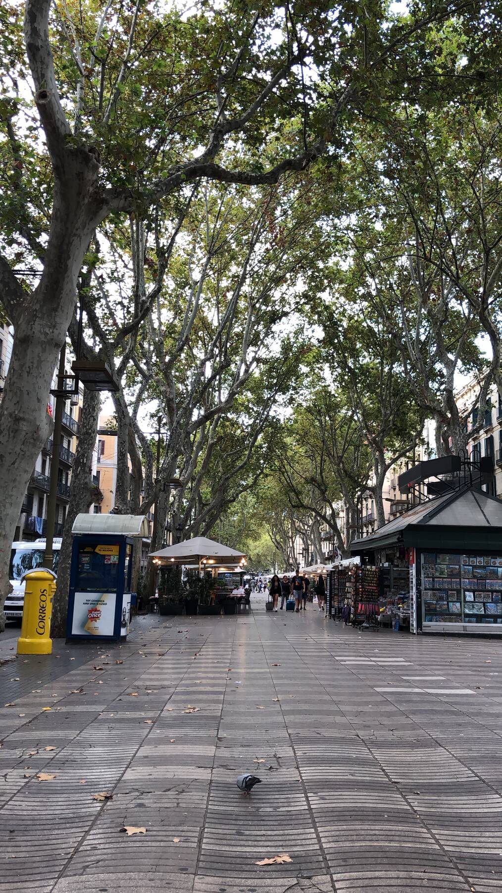 Connect-123 Barcelona Internships | Go Overseas