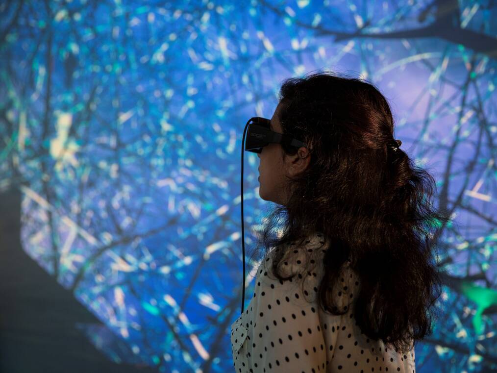 STEM Research Internships (Visiting Student Research Program) | Go Overseas