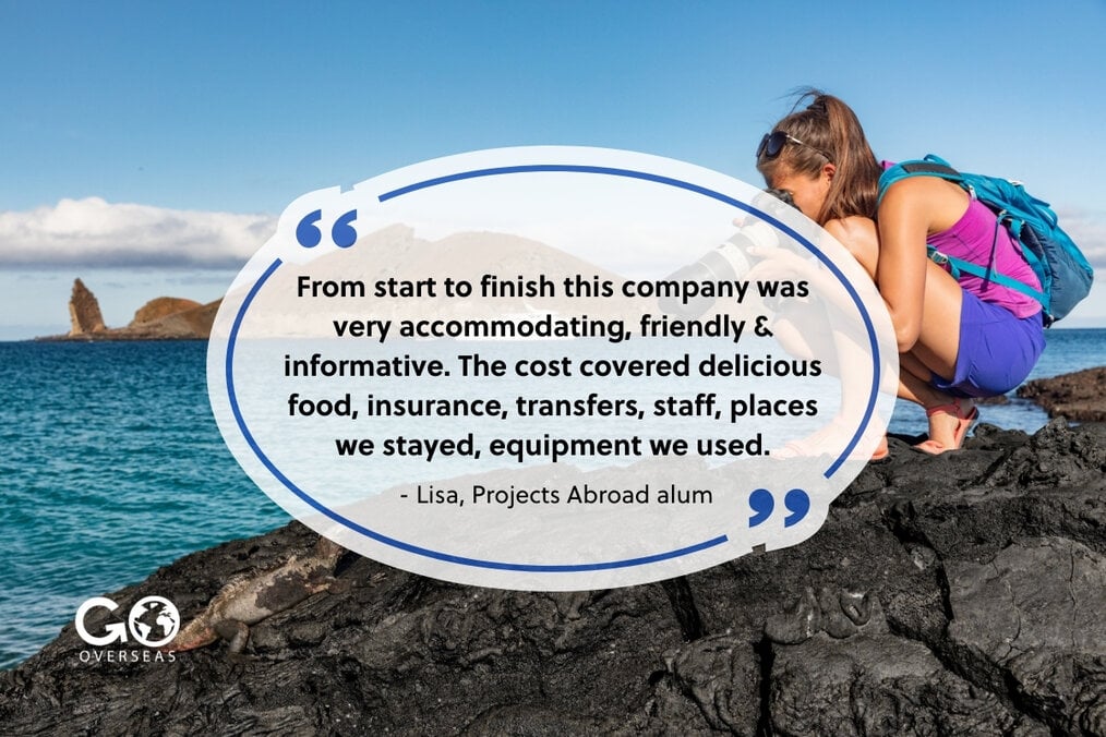 10 Best Programs for Volunteering with Sea Turtles | Sea Turtle ...