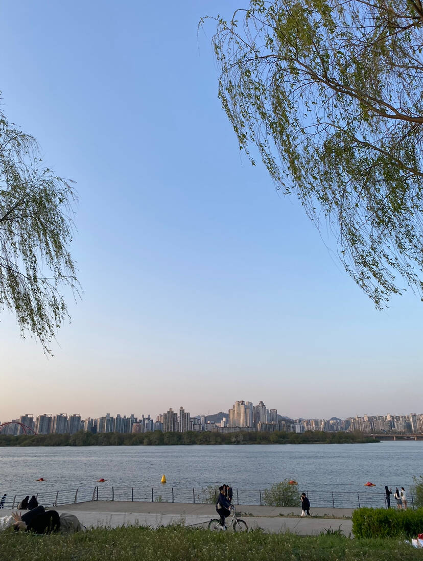 API Study Abroad Reviews | Go Overseas