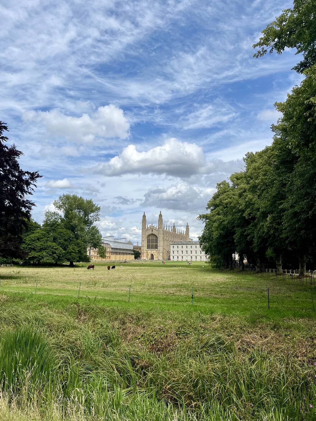 Reach Cambridge | Reviews and Programs | Go Overseas
