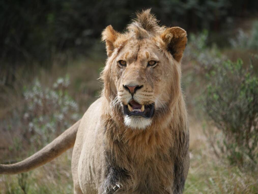 Intern Abroad HQ | Reviews and Programs | Go Overseas