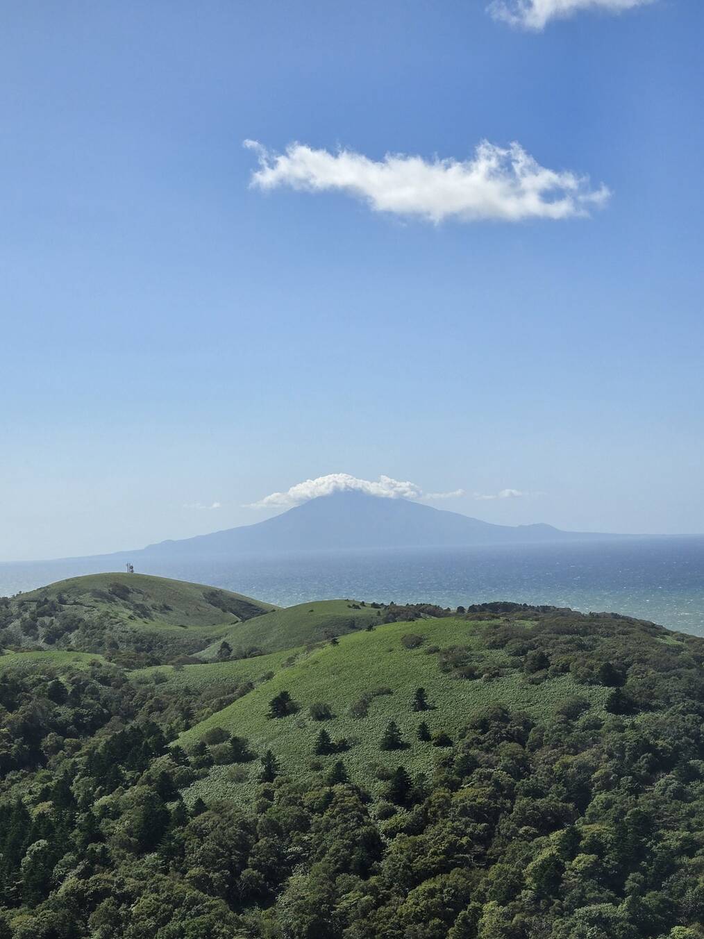 Interac Japan | Reviews and Programs | Go Overseas