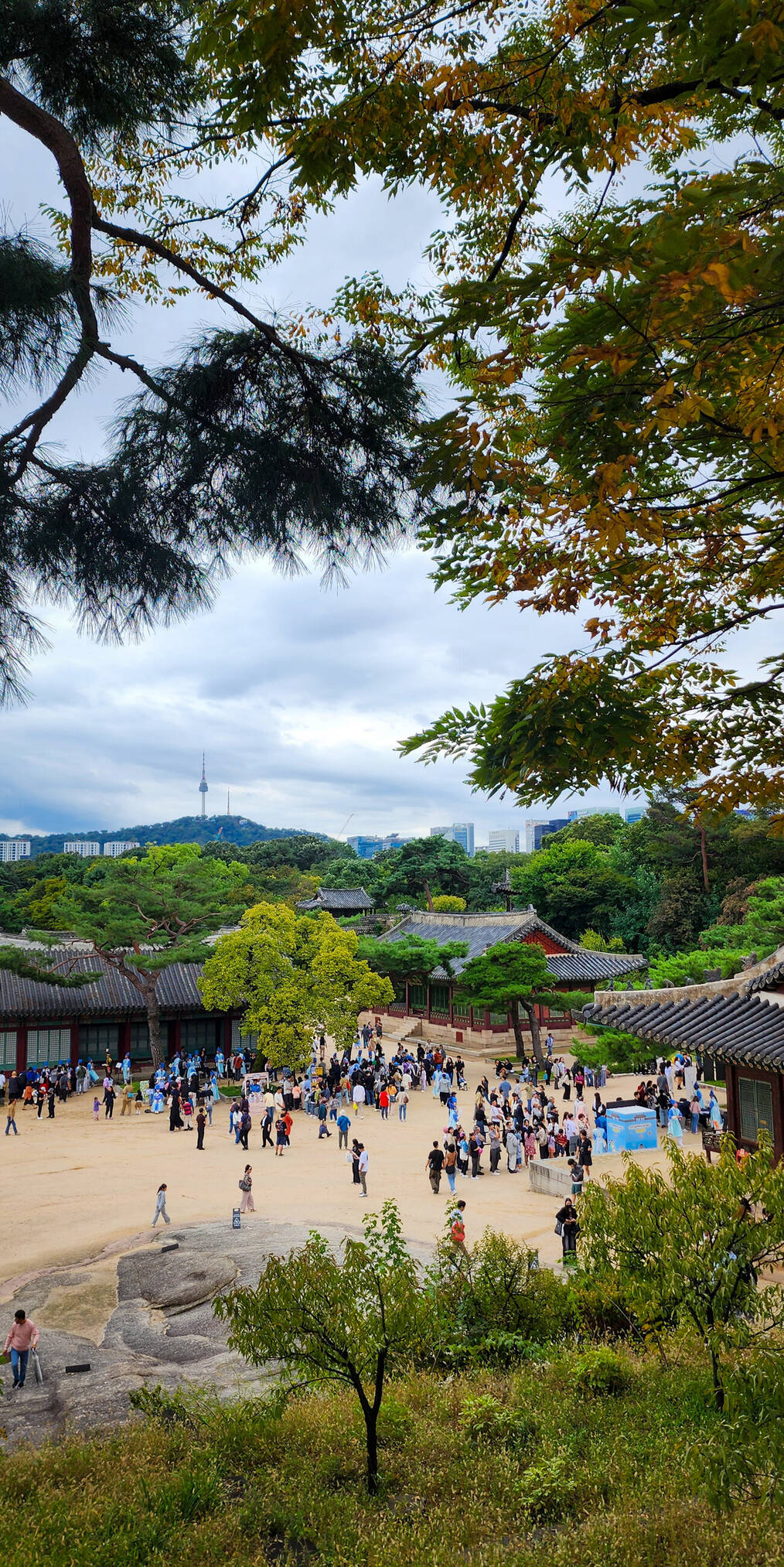 Asia Internship Program (AIP) | Reviews and Programs | Go Overseas