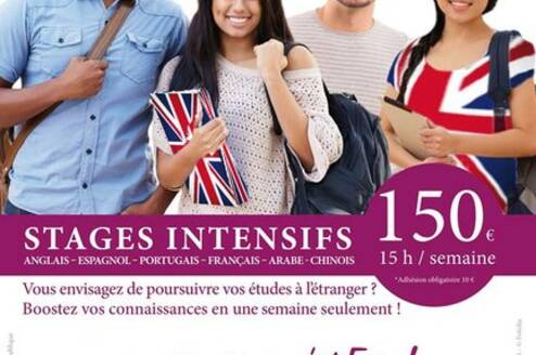 The Best French Language Schools in Marseille | Go Overseas