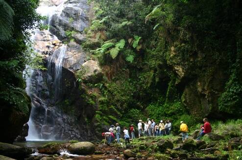 Operation Wallacea | Reviews and Programs | Go Overseas