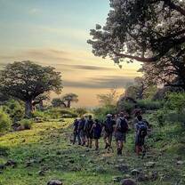 Field Guide Courses Africa – Become a Game Ranger in Africa's ...